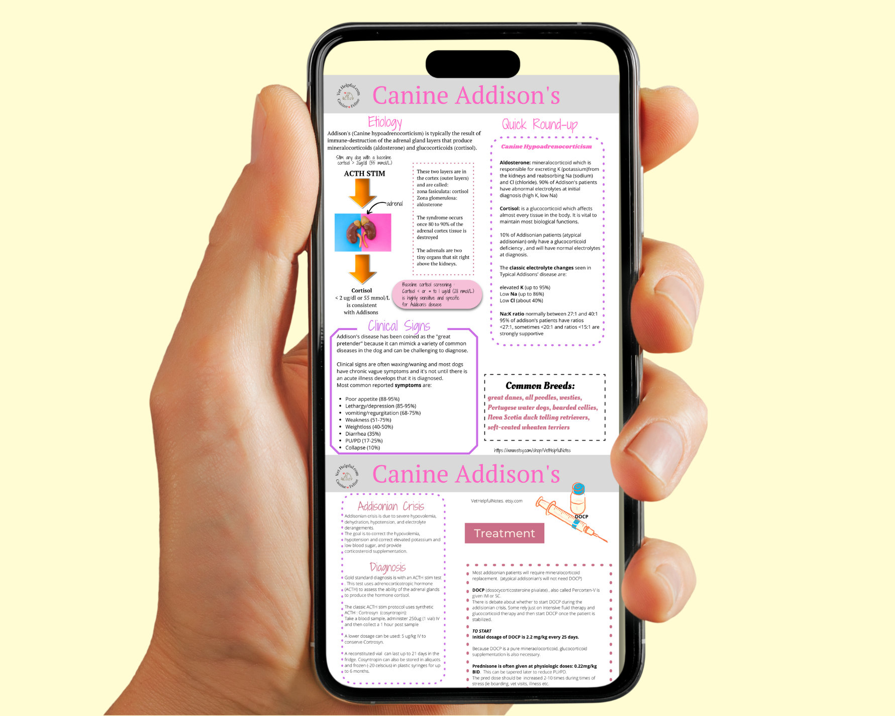Canine Addison's Disease Guide- Vet Tech, Vet Student, Veterinarian - Etsy