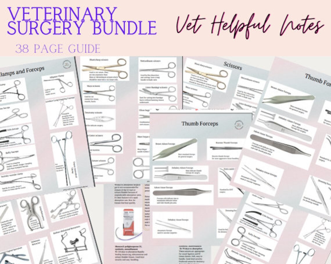 Veterinary Surgery Bundle Vet Tech Notes VTNE Prep - Etsy
