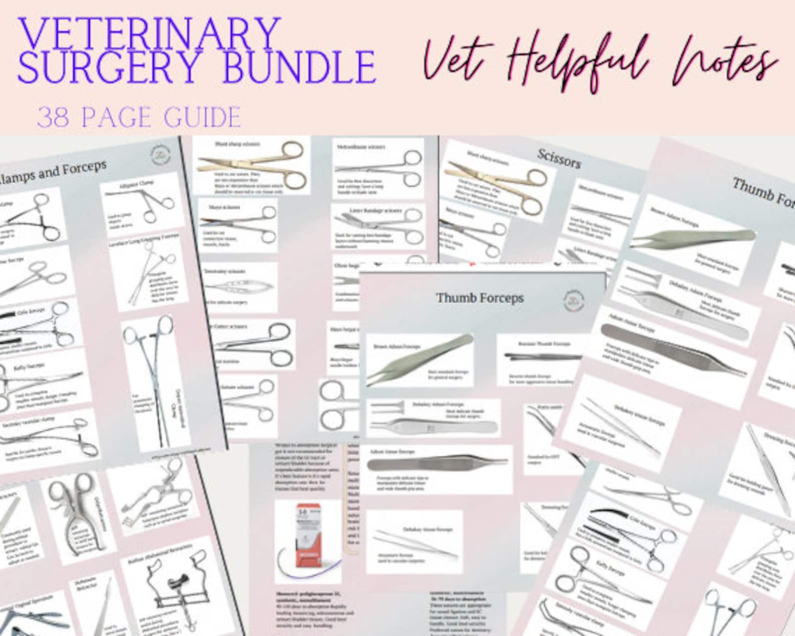 Veterinary Surgery Bundle Vet Tech Notes VTNE Prep - Etsy