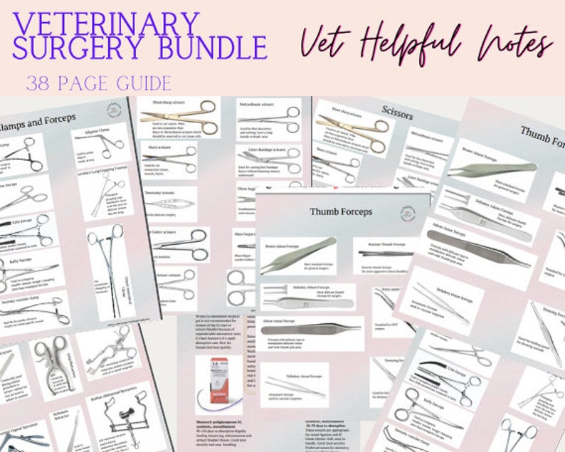 Veterinary Surgery Bundle Vet Tech Notes VTNE Prep - Etsy