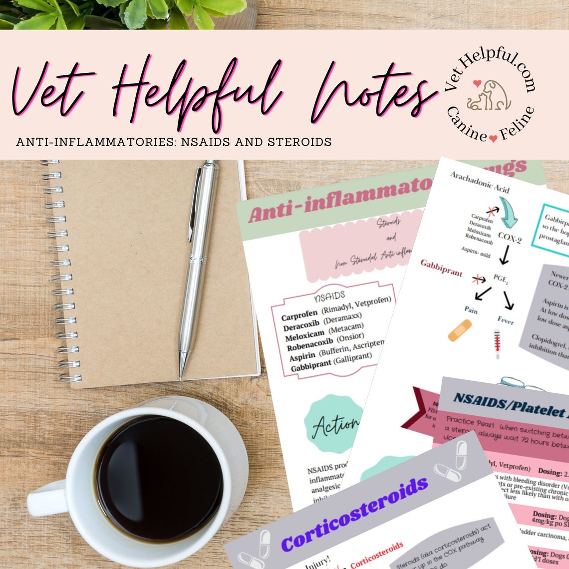 Pharmacology Vet Tech Notes NSAID and Steroids Vet Nursing | Etsy