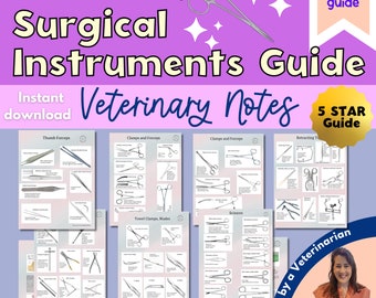 Hypersensitivity Reactions Explained Step-by-step Visual - Etsy