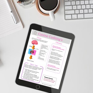 Vet Endocrine Study Guide, Canine Cushing's, Vet Tech Notes, Cushing's ...