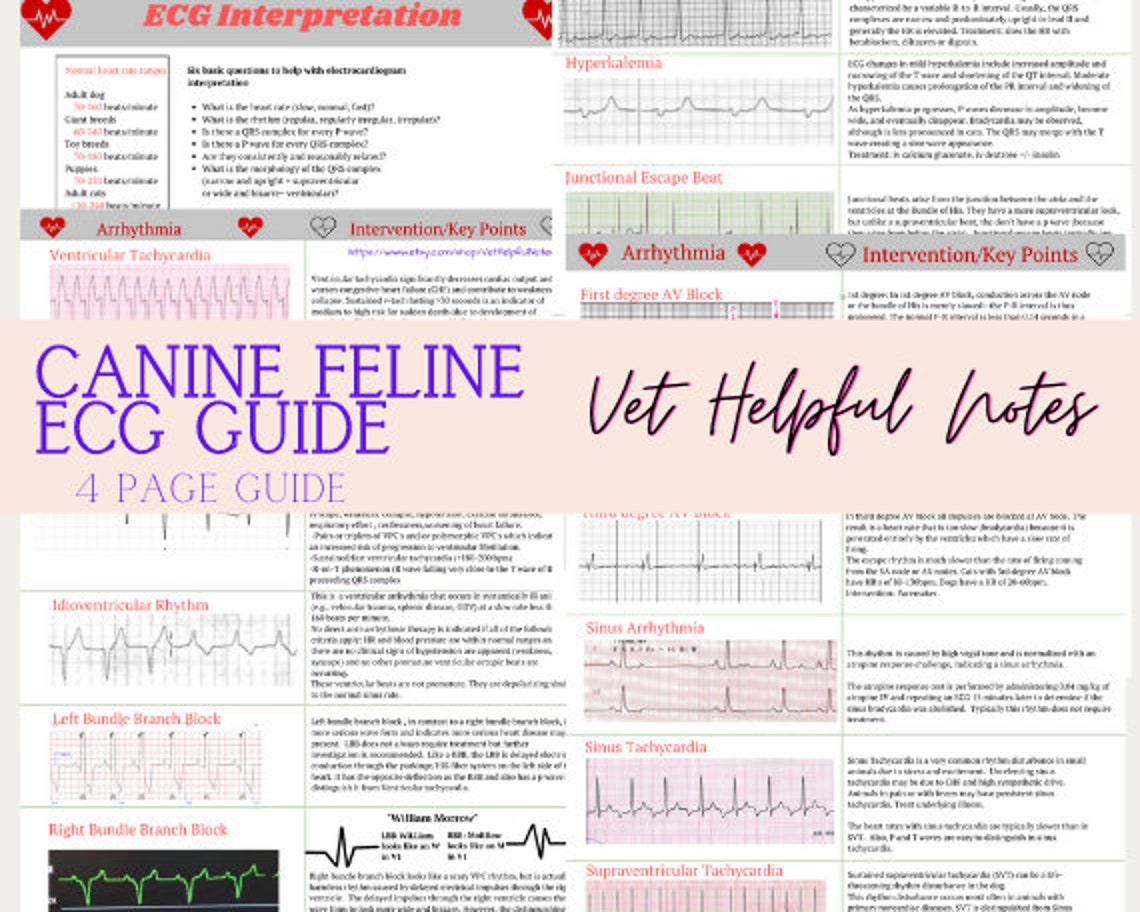 Vet Med ECG Cheat Sheets Vet Nurse ECG Guide Vet Tech ECG - Etsy