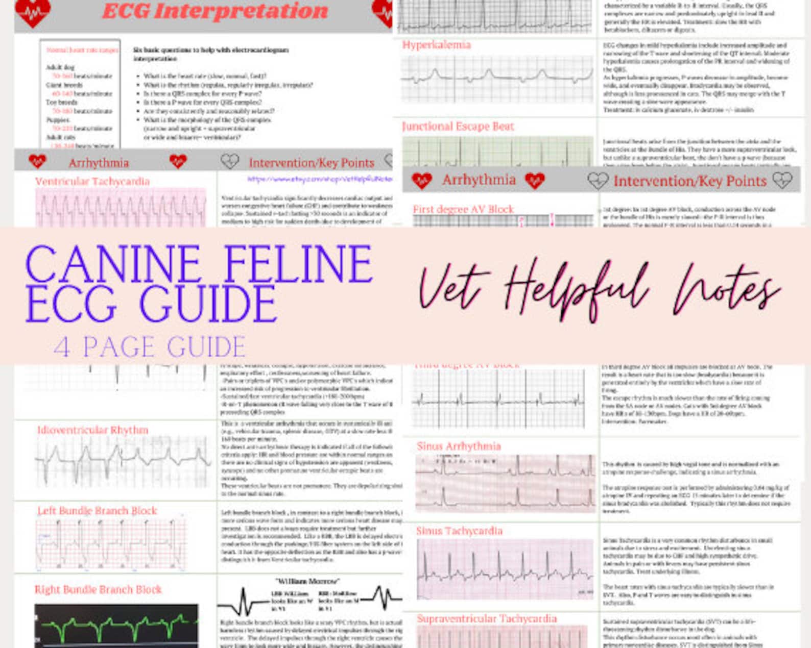 Vet Med ECG Cheat Sheets Vet Nurse ECG Guide Vet Tech ECG - Etsy