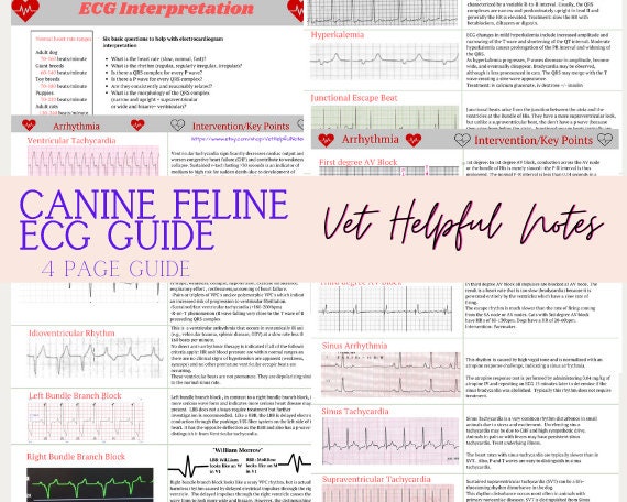 Vet Med ECG Cheat Sheets Vet Nurse ECG Guide Vet Tech ECG - Etsy UK