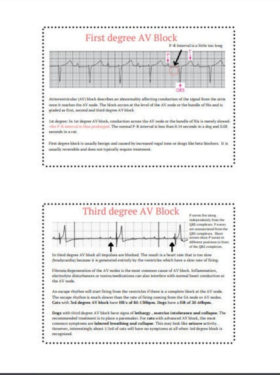 Vet Reference ECG Vet Tech Pocket Guide ECG Reference EKG - Etsy