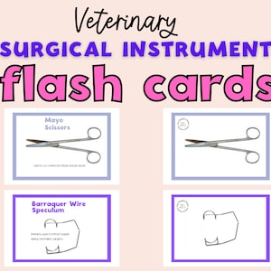 Vet Flash Cards Surgery Veterinary Flashcards Surgical Instruments Vet ...