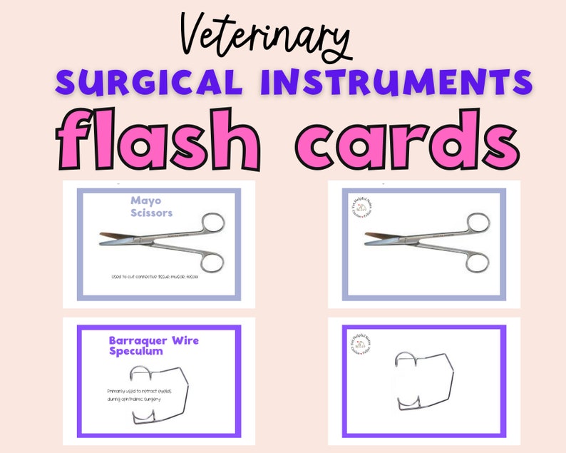 Vet Flash Cards Surgery Veterinary Flashcards Surgical - Etsy