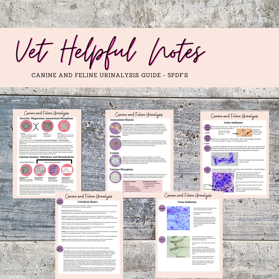 Veterinary Urinalysis Guide | Etsy