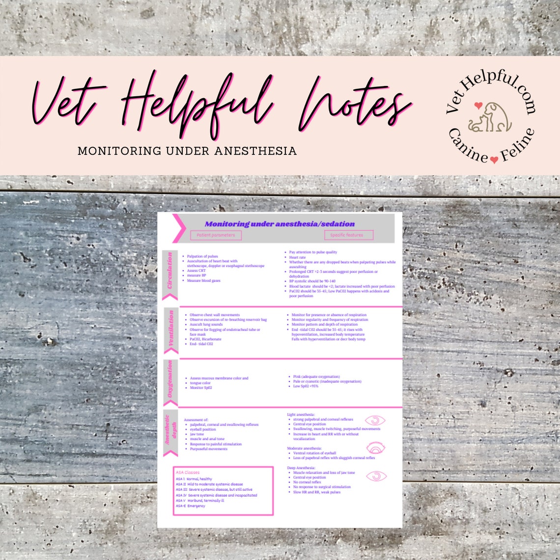 Veterinary Sedation Analgesia and Anesthesia Pack - Etsy