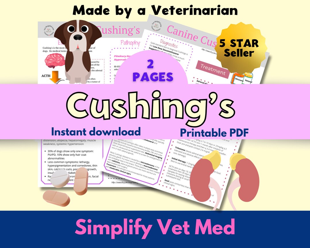 Vet Endocrine Study Guide, Canine Cushing's, Vet Tech Notes, Cushing's ...