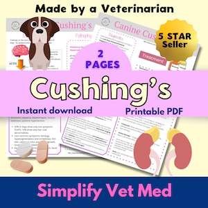 Vet Endocrine Study Guide, Canine Cushing's, Vet Tech Notes, Cushing's ...