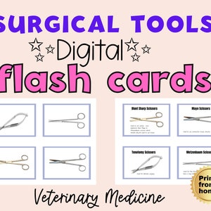 Digital Surgical Tools Veterinary Surgery Flash Cards Revision Vet ...