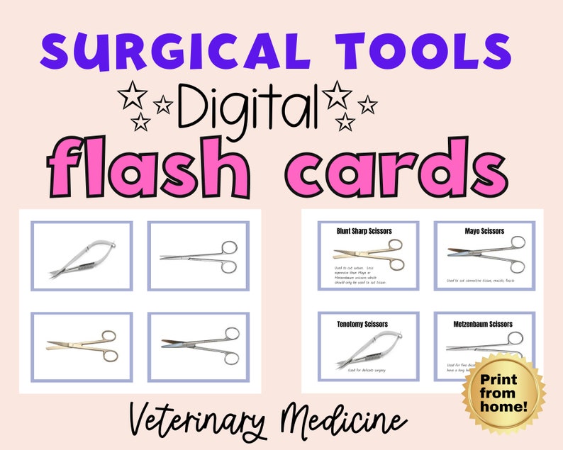 Digital Surgical Tools Veterinary Surgery Flash Cards Revision - Etsy