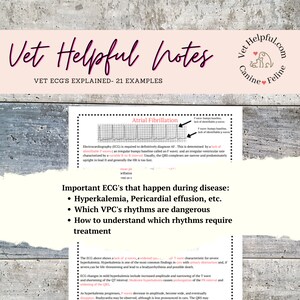 Vet Reference ECG, Vet Tech Pocket Guide , ECG Reference, EKG , Flash ...