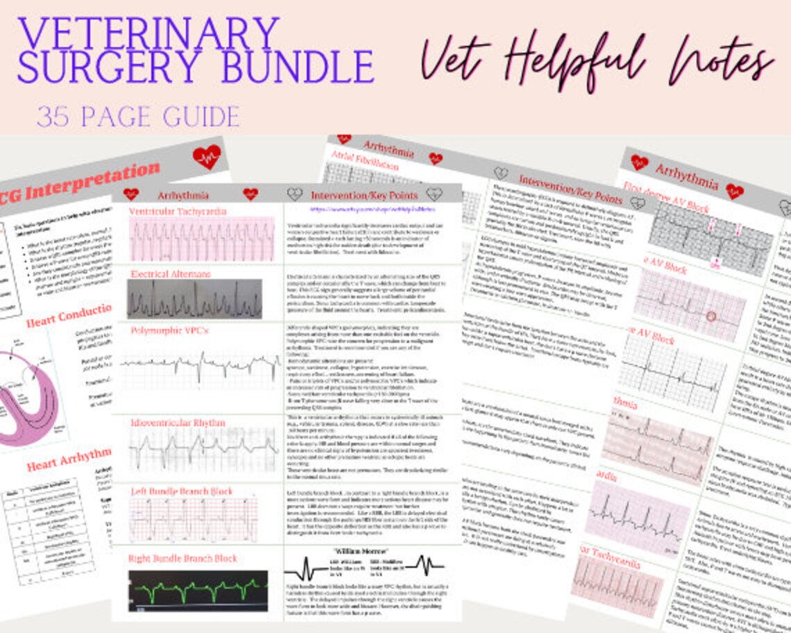 Veterinary Surgery Bundle Vet Tech Notes VTNE Prep - Etsy Canada