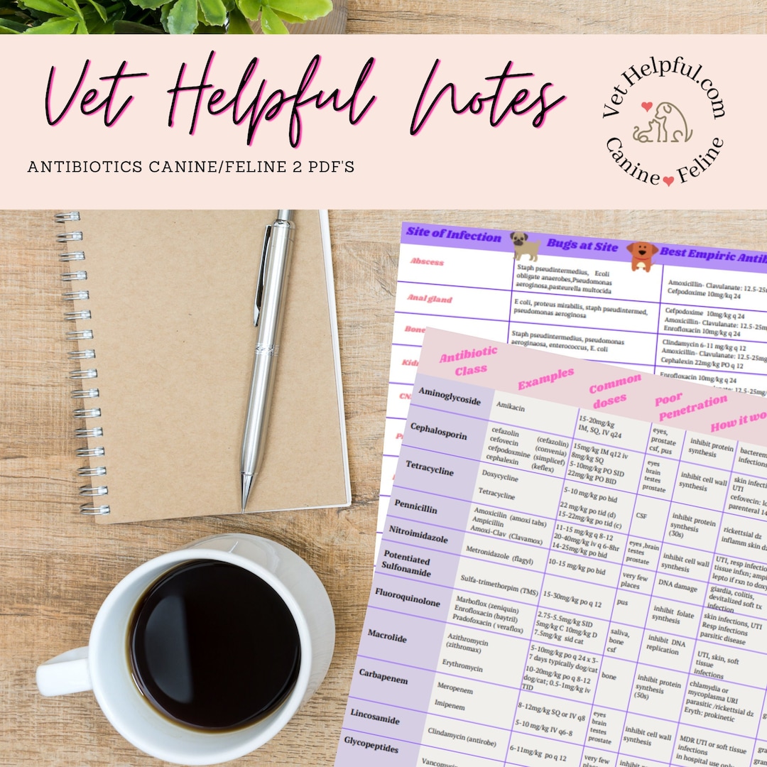 Veterinary Antibiotics Study Guide, Vet Tech Antibiotic Cheat Sheets ...