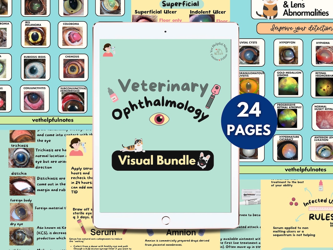 Veterinary Ophthalmology Guides Vet Tech Study Notes Ophthalmology Vet ...