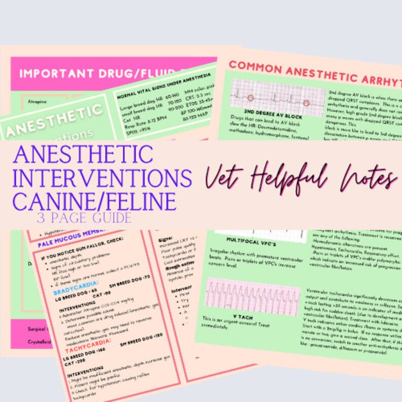 Veterinary Surgery Bundle Vet Tech Notes VTNE Prep - Etsy