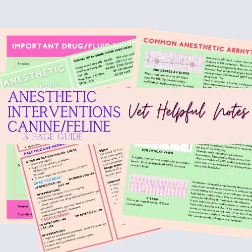 Veterinary Surgery Bundle Vet Tech Notes VTNE Prep - Etsy