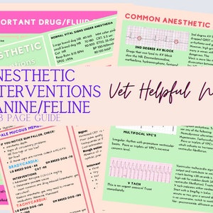 Veterinary Anesthesia- Intervention for Complications, Vet Tech, VTNE ...