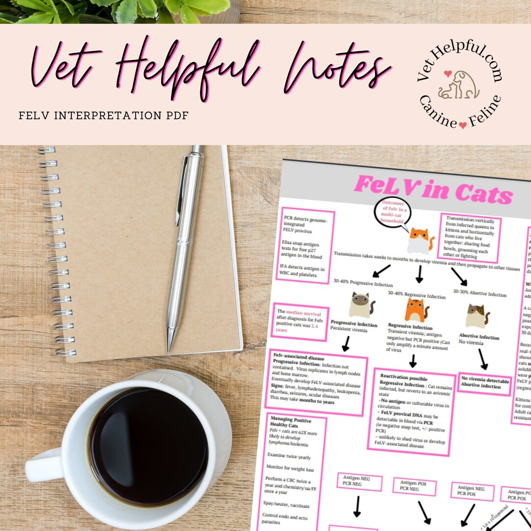 Vet Study Guide Vet Tech Notes Felv Disease Cheat Sheet - Etsy