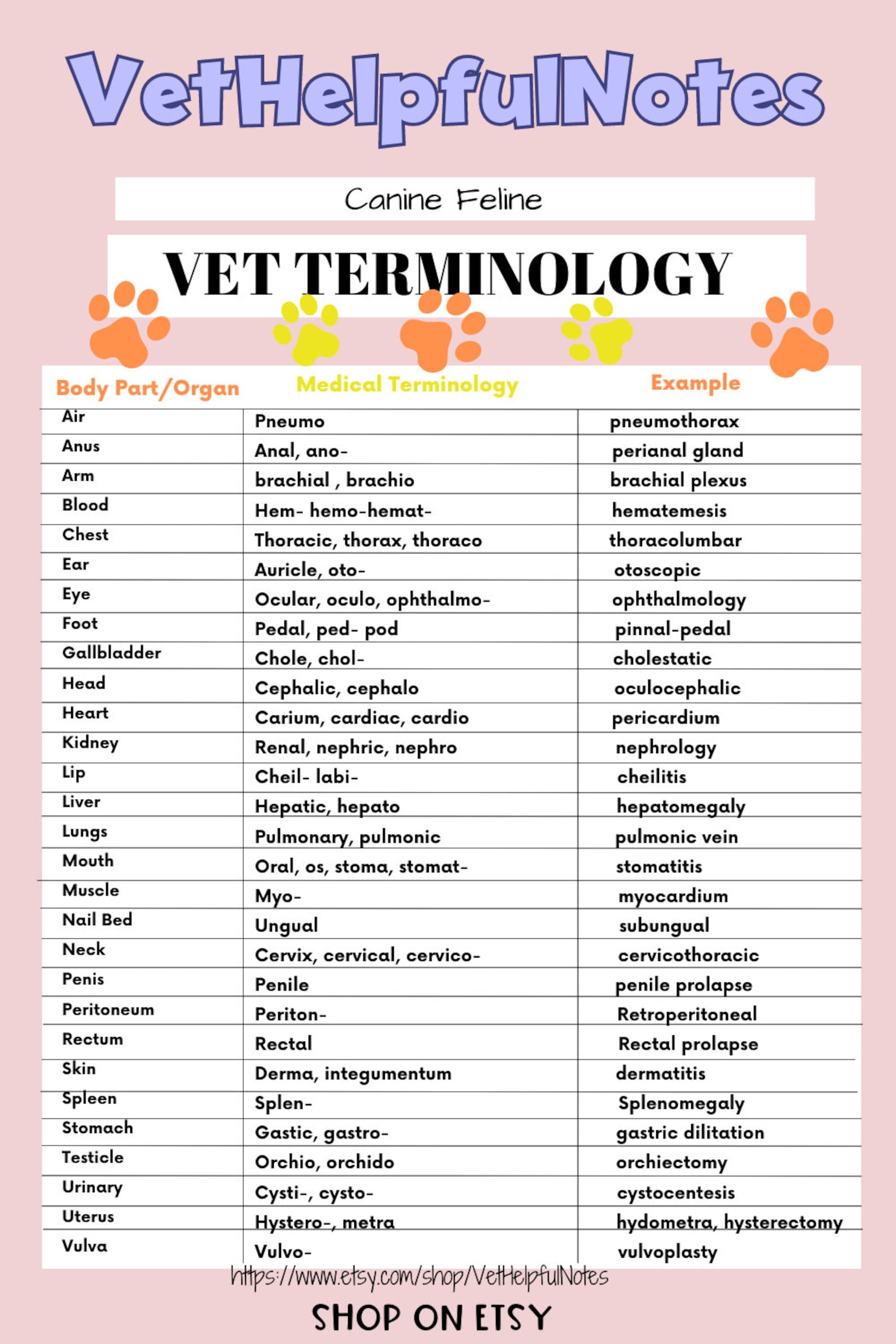 Vet Med Acronym Suffix Prefix Veterinary Cheat Sheet Vet Tech - Etsy