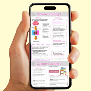 Vet Endocrine Study Guide, Canine Cushing's, Vet Tech Notes, Cushing's ...