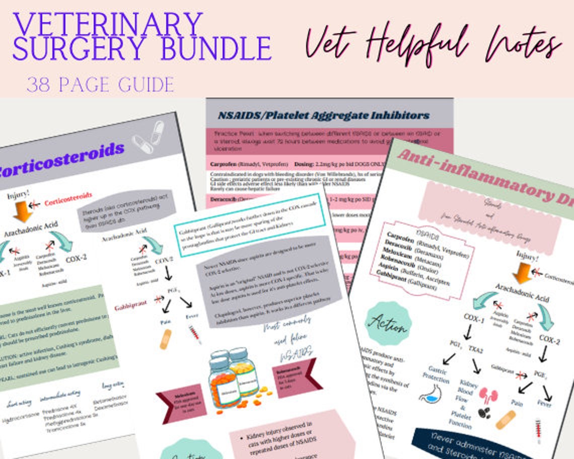 Veterinary Surgery Bundle Vet Tech Notes VTNE Prep - Etsy
