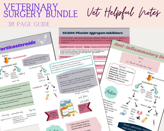 Veterinary Surgery Bundle Vet Tech Notes VTNE Prep - Etsy Canada