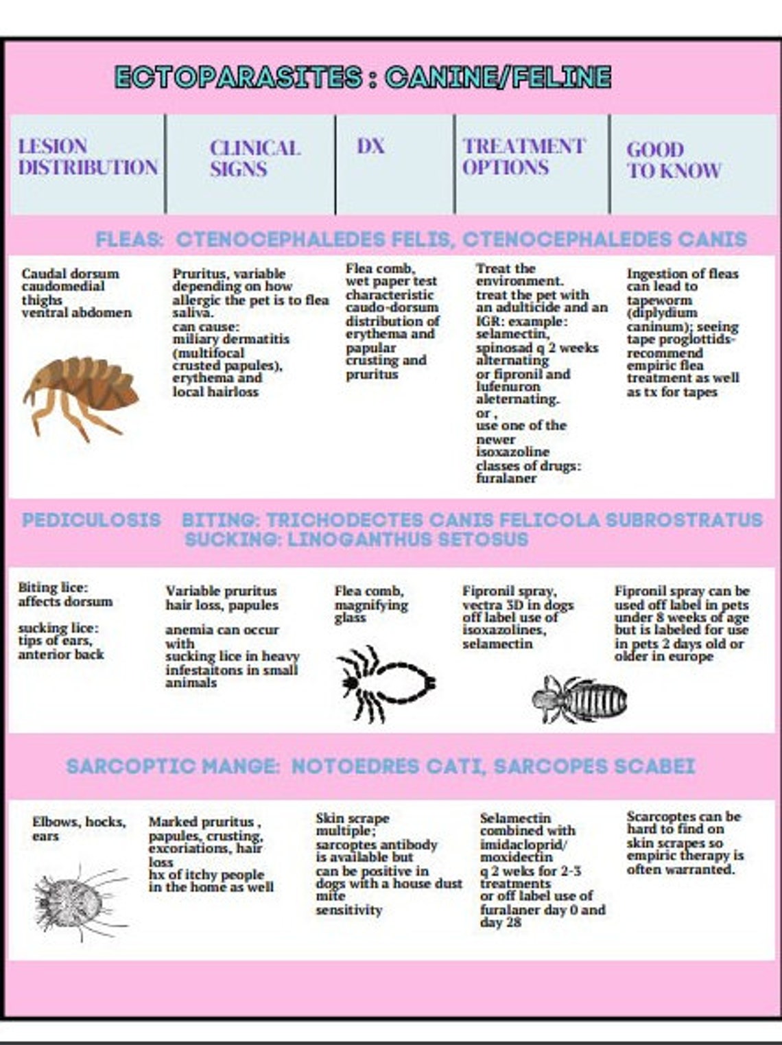 Vet Ectoparasites Guide Vet Tech Ectoparasites Pharmacology - Etsy