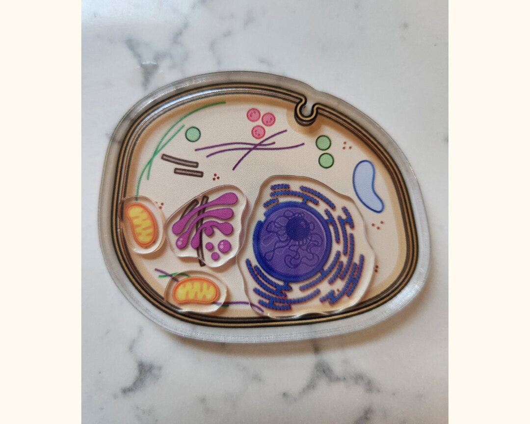 Research Badge Reel Laboratory Research Gifts Science Resin Badge Reel ...