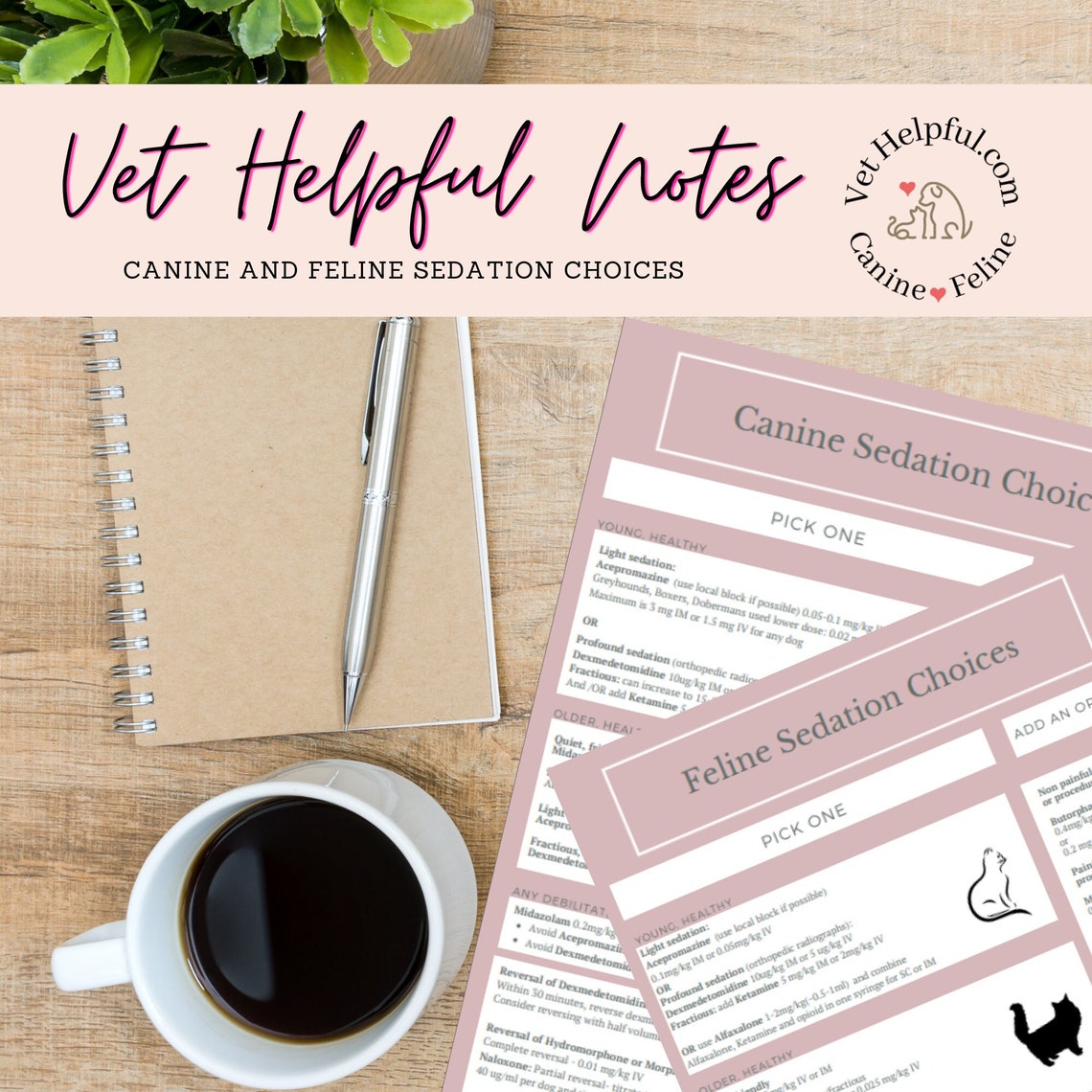 Veterinary Sedation Choices Canine/feline Vet Tech Sedation - Etsy