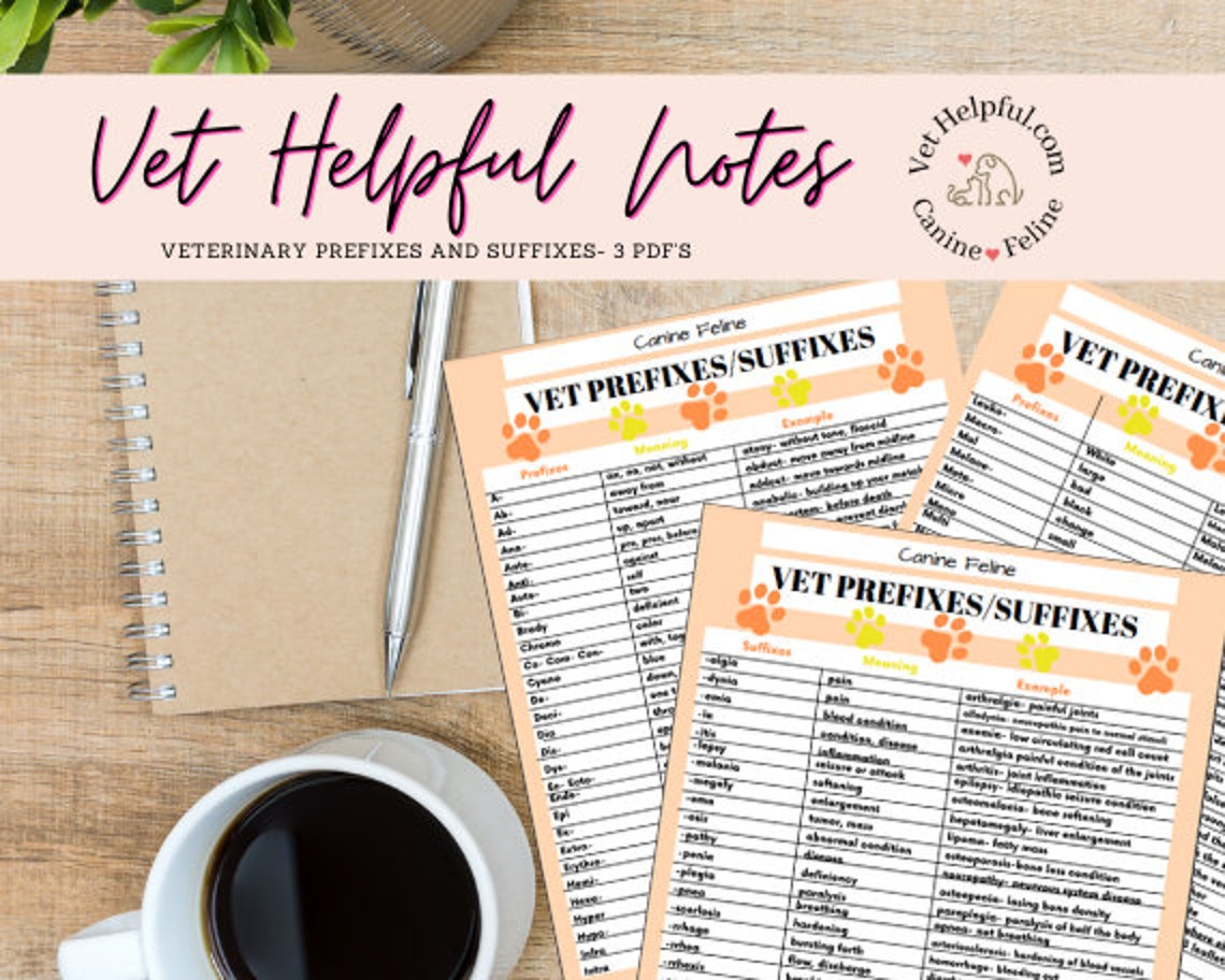 Vet Med Acronym Suffix Prefix Veterinary Cheat Sheet Vet Tech - Etsy