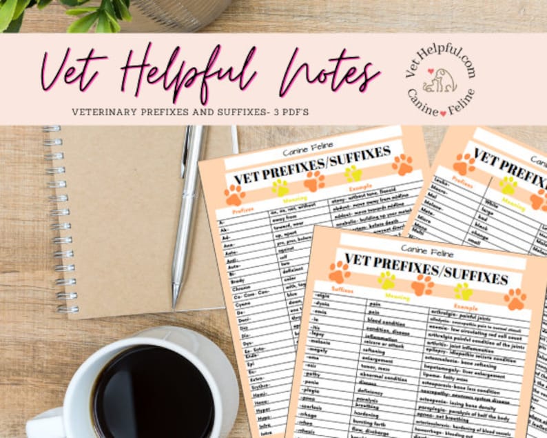 Vet Med Acronym Suffix Prefix Veterinary Cheat Sheet Vet Tech - Etsy