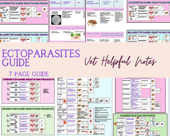 Vet Ectoparasites Guide Vet Tech Ectoparasites Pharmacology - Etsy