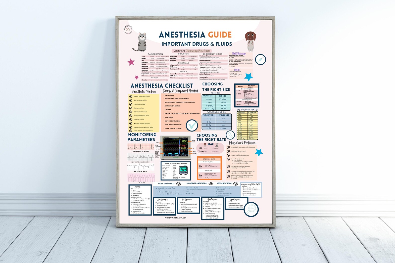 Poster Veterinary Anesthesia Guide Vet Tech Study Poster Veterinary ...