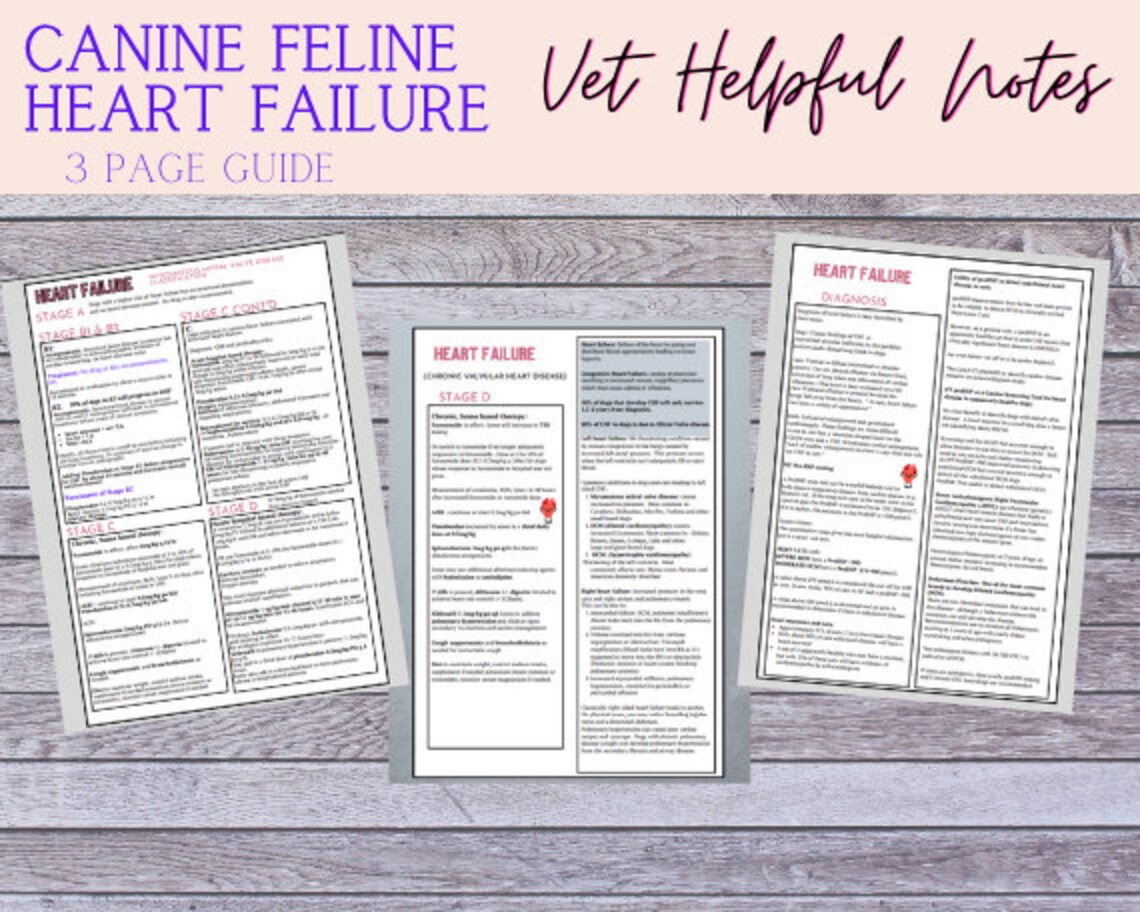 Canine Feline Heart Failure Vet Med Guide - Etsy