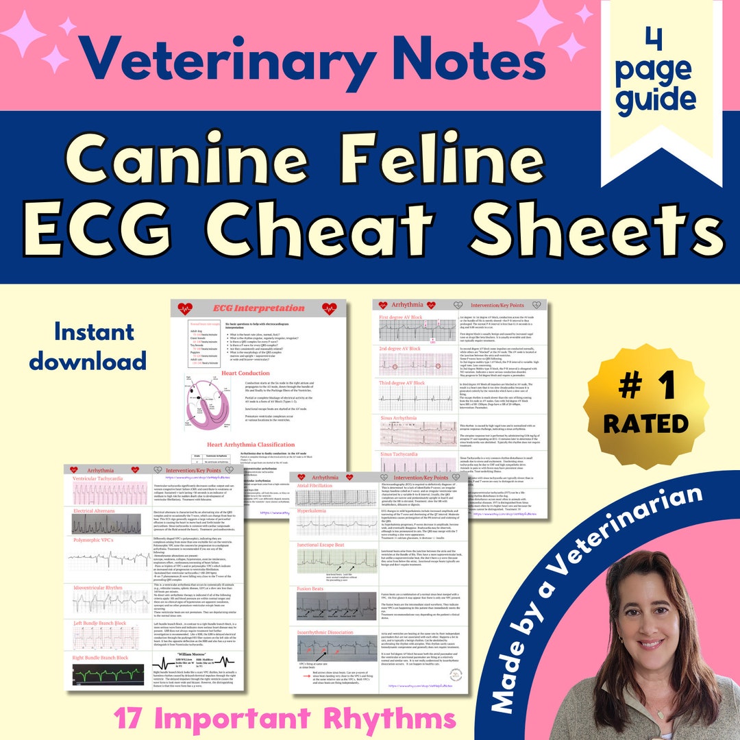 Buy Vet Med ECG Cheat Sheets Vet Nurse ECG Guide Vet Tech ECG Online in ...