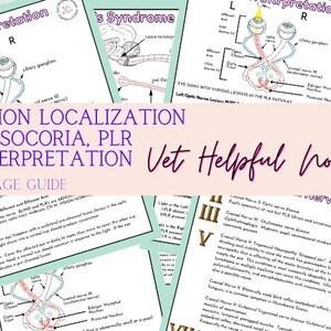 Vet Tech Neurology Study Notes Vet Nurse Cheat Sheets Vet Med Study Vet ...