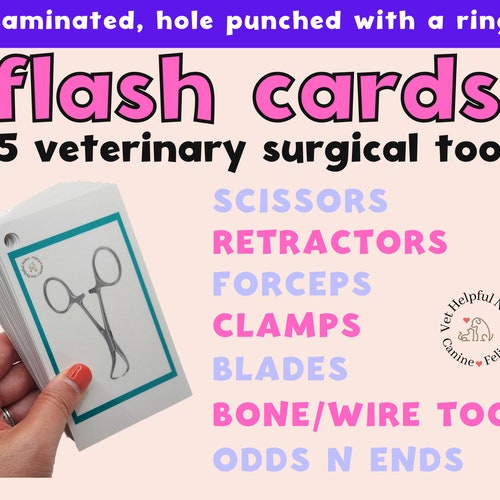 Vet Flash Cards Surgery Veterinary Flashcards Surgical - Etsy