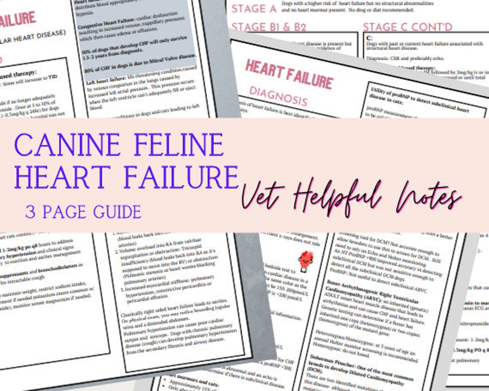 Canine Feline Heart Failure Vet Med Guide - Etsy