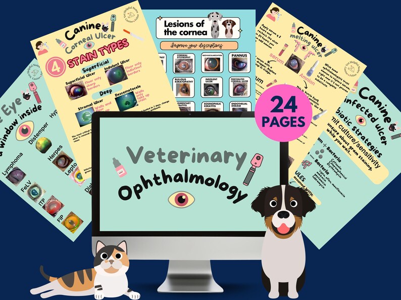 Veterinary Ophthalmology Guides Vet Tech Study Notes Ophthalmology Vet ...