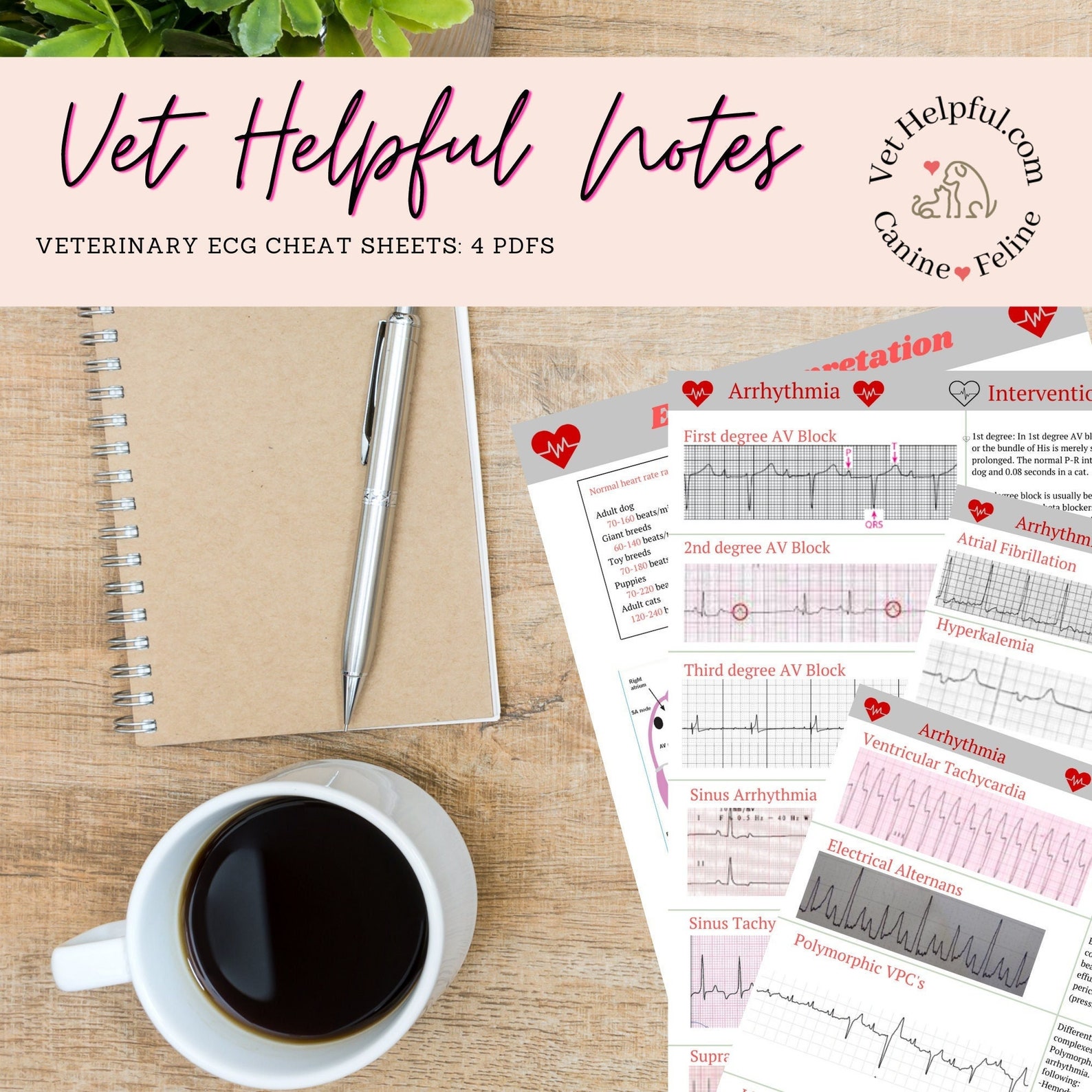 Vet Med ECG Cheat Sheets Vet Nurse ECG Guide Vet Tech ECG - Etsy