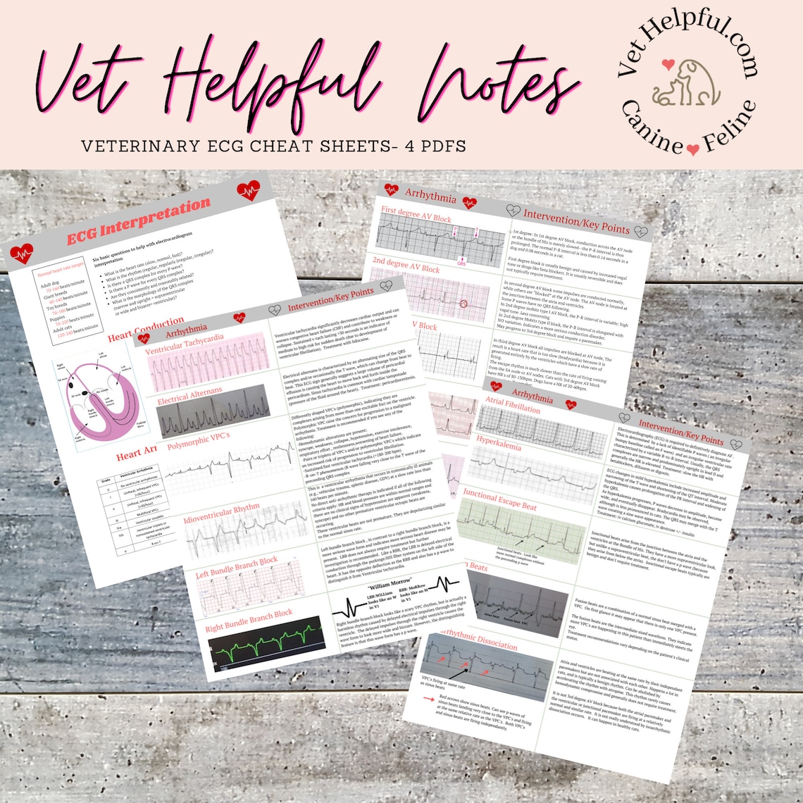 Vet Med ECG Cheat Sheets Vet Nurse ECG Guide Vet Tech ECG - Etsy
