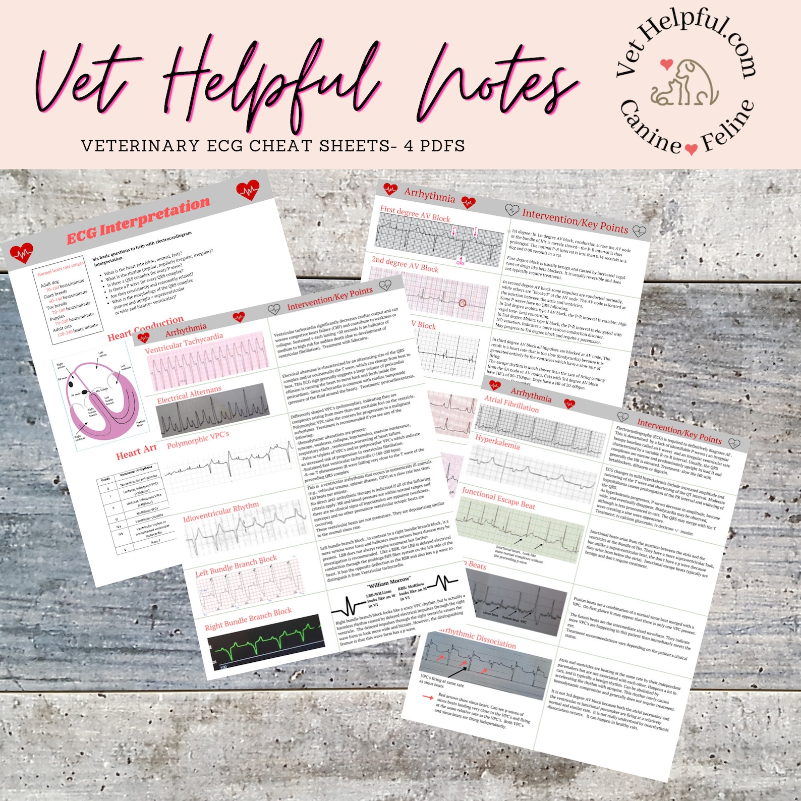 Vet ECG Cheat Sheets Vet Nurse ECG Guide Vet Tech ECG Guide - Etsy New ...