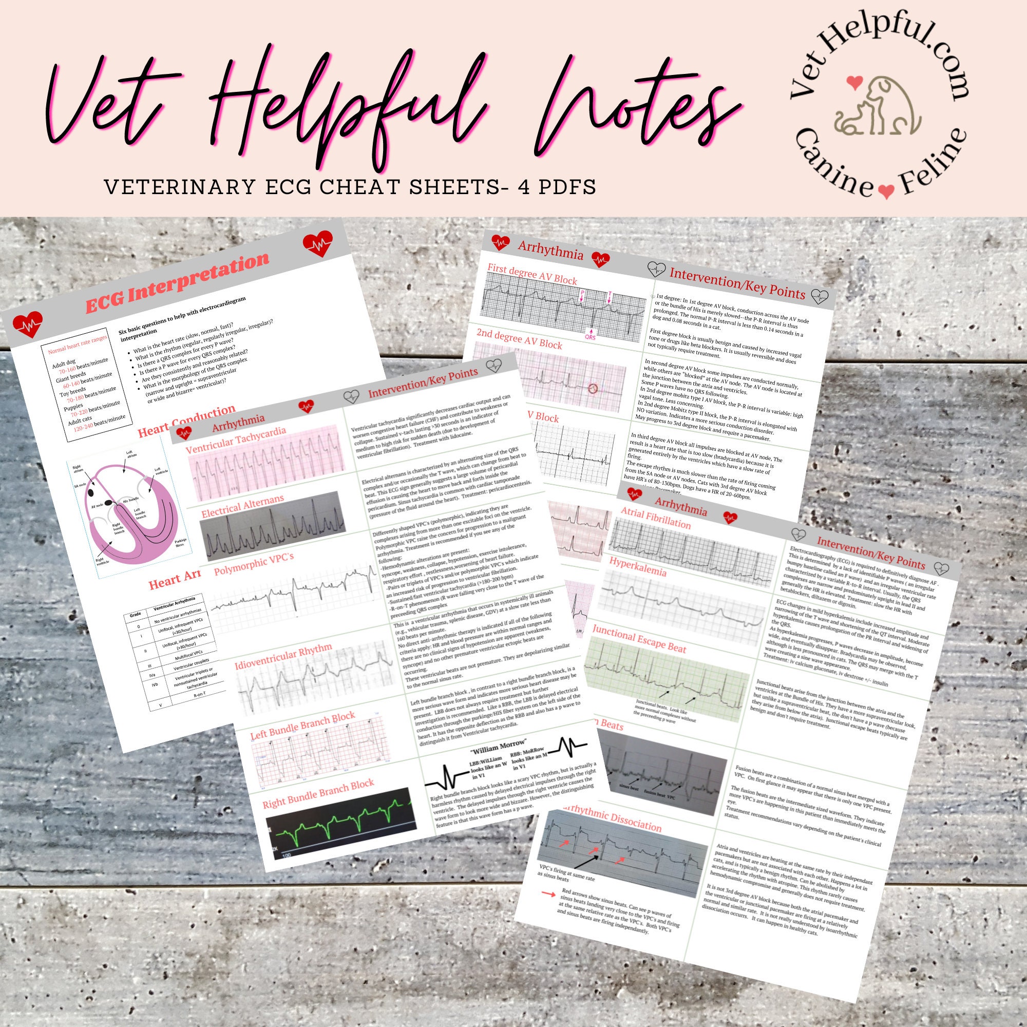 Vet Med ECG Cheat Sheets Vet Nurse ECG Guide Vet Tech ECG - Etsy Canada