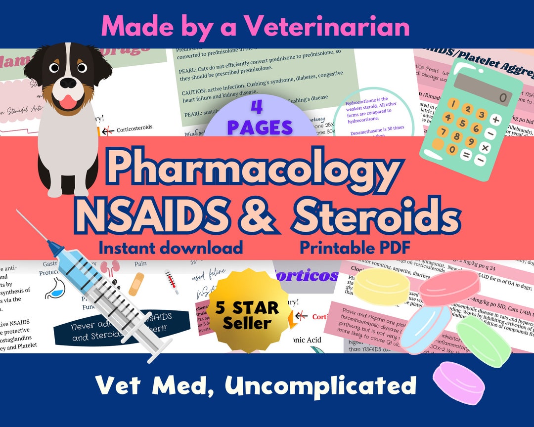 Pharmacology, Vet Tech Notes, NSAID and Steroids, Vet Nursing Notes - Etsy