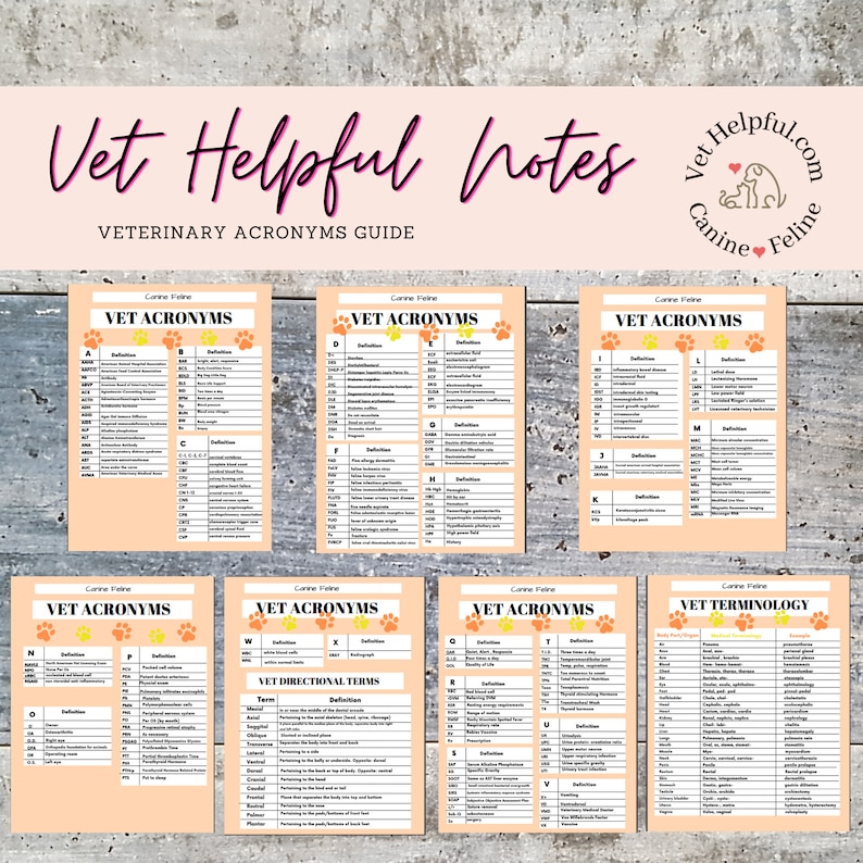Vet Med Acronym Suffix Prefix Veterinary Cheat Sheet Vet Tech Notes ...